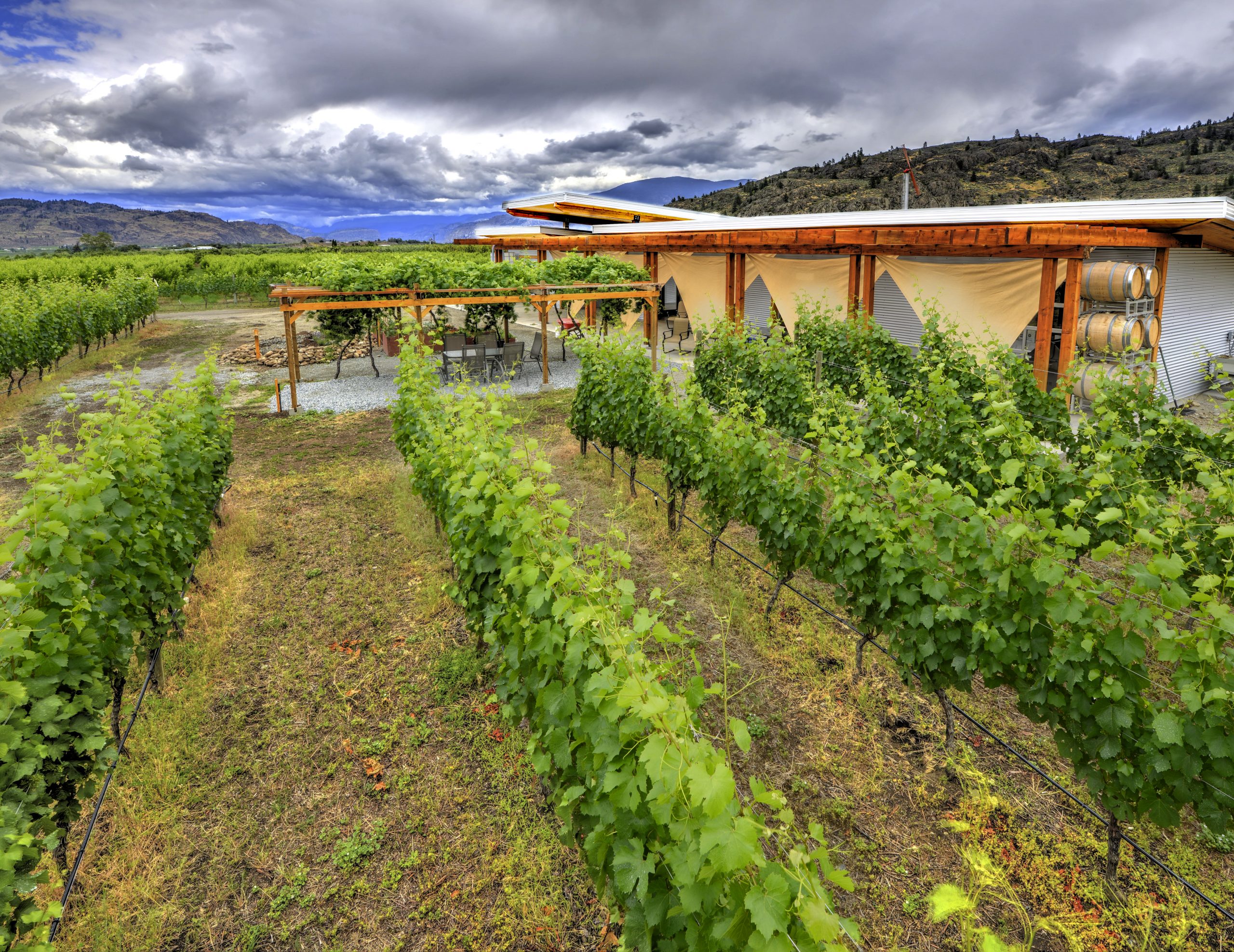 Bartier Bros. Vineyard Winery Vineyard and Winery - Oliver, BC.